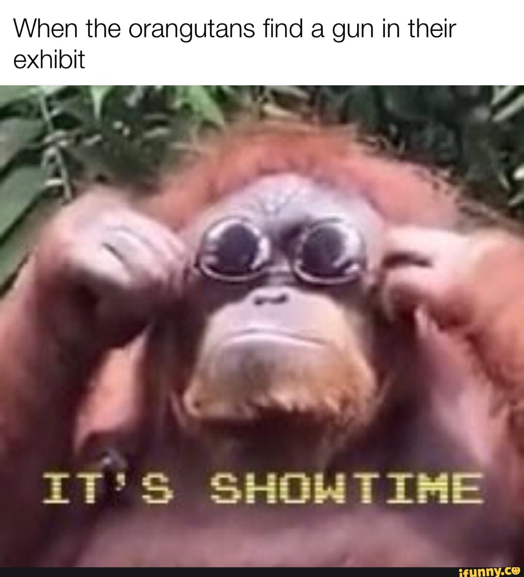 Gaybad memes. Best Collection of funny Gaybad pictures on iFunny