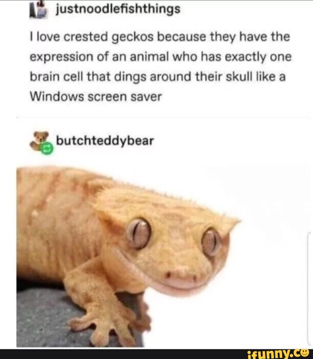 Saver memes. Best Collection of funny Saver pictures on iFunny
