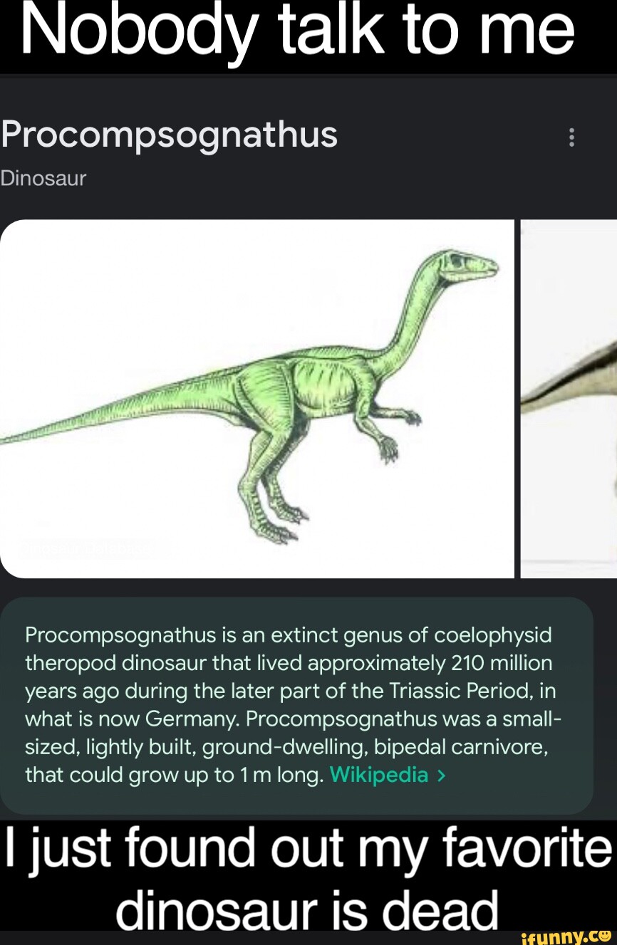 Noboay talk to me Procompsognathus Dinosaur Procompsognathus is an extinct genus of coelophysid ...