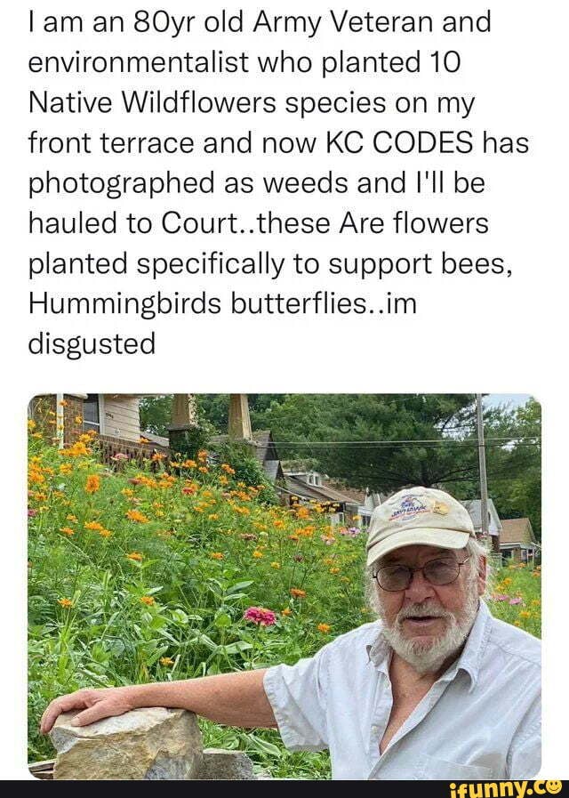 Weeds memes. Best Collection of funny Weeds pictures on iFunny