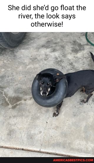 She did she'd go float the river, the look says otherwise! - America’s ...