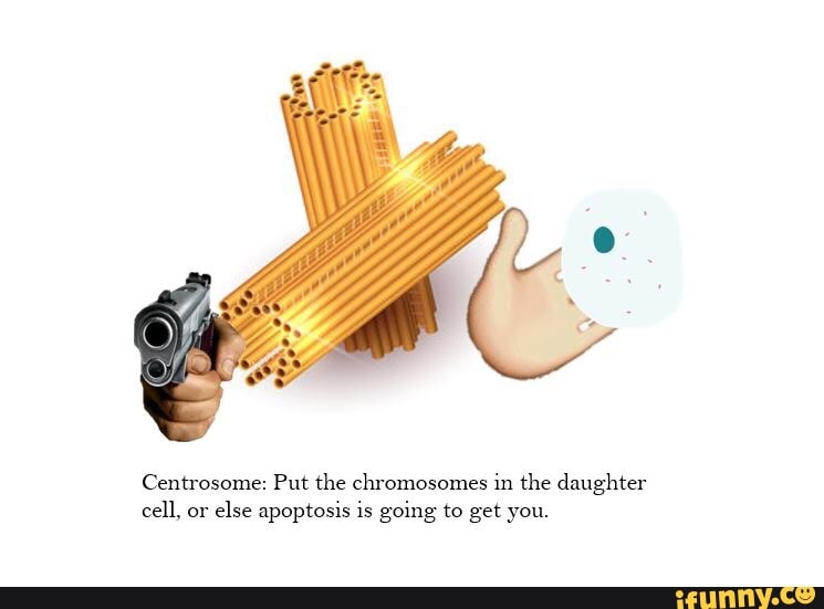 Centrosome memes. Best Collection of funny Centrosome pictures on iFunny