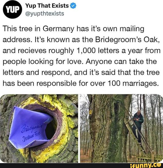 This tree in Germany has it's own mailing address. It's known as the ...