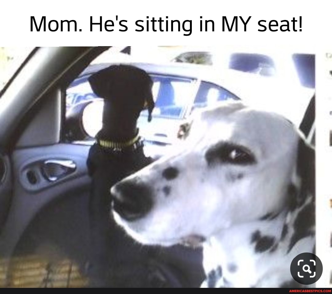 Mom. He's sitting in MY seat! - America’s best pics and videos