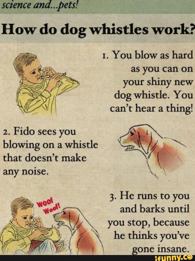 Whistles memes. Best Collection of funny Whistles pictures on iFunny