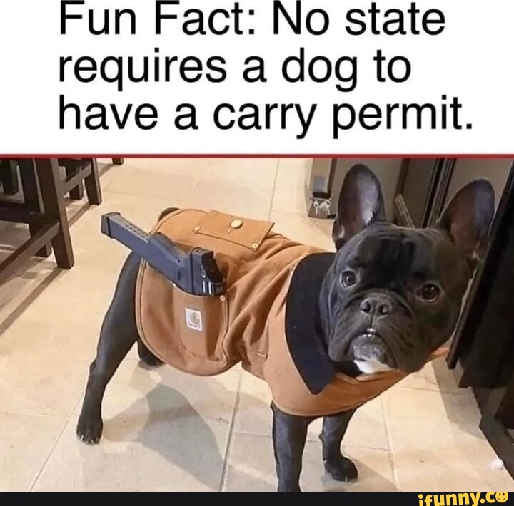 Fun Fact: No state requires a dog to have a carry permit. - iFunny