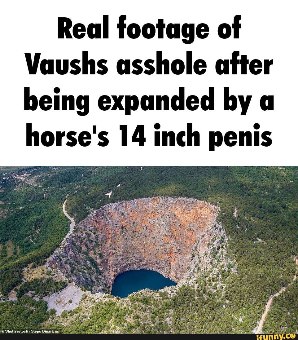 Real footage of Vaushs asshole after being expanded by a horse's 14 ...