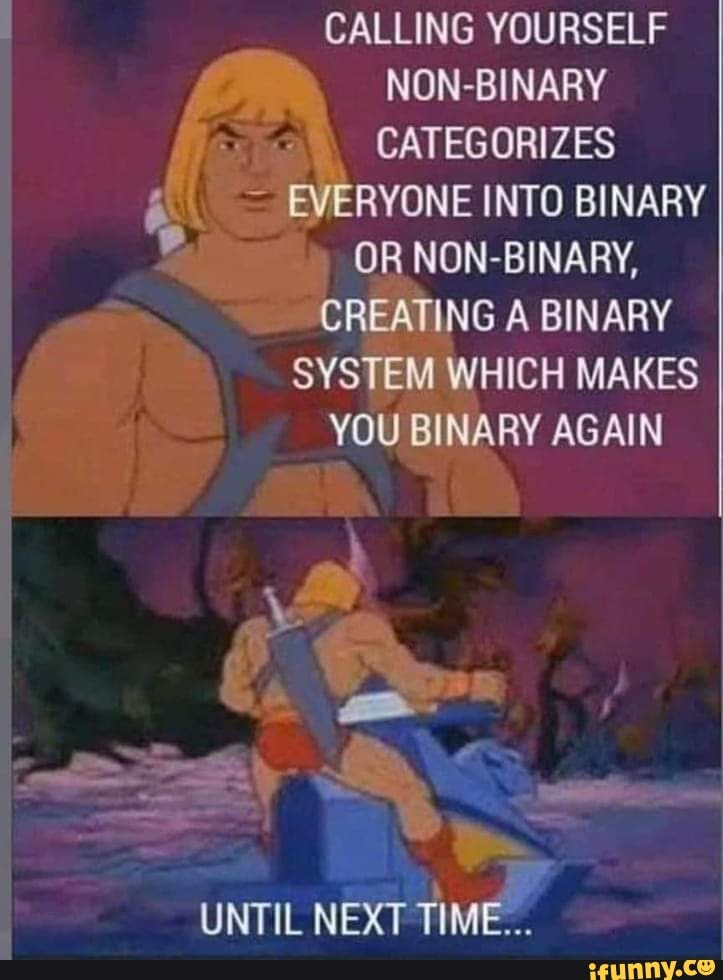 CALLING YOURSELF NON-BINARY CATEGORIZES - EVERYONE INTO BINARY I OR NON ...
