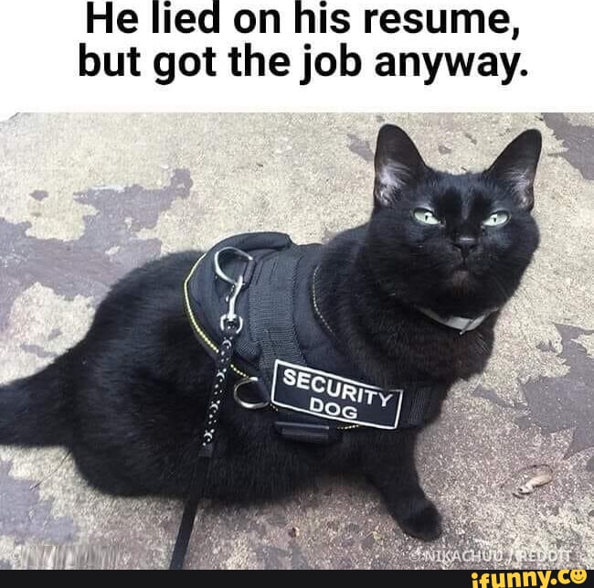 Bog memes. Best Collection of funny Bog pictures on iFunny