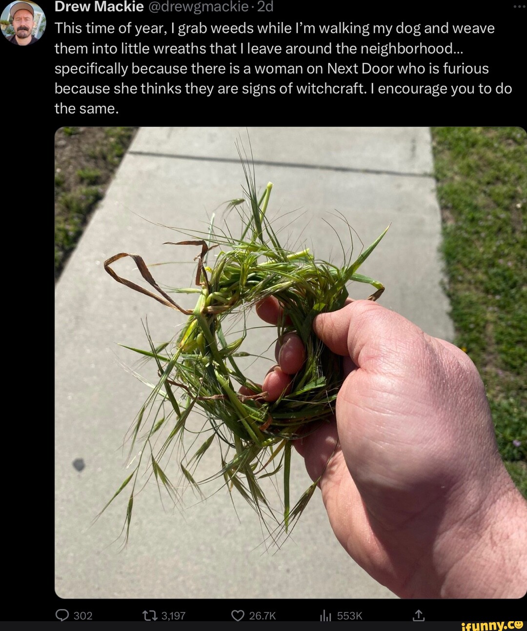 Drew Mackie @drewgmackie- This time of year, I grab weeds while I'm ...
