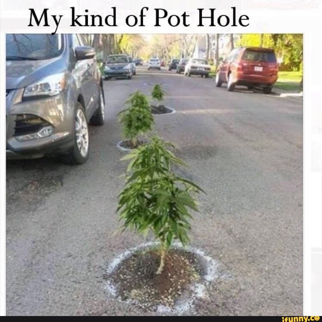 Potheadmemes memes. Best Collection of funny Potheadmemes pictures on ...