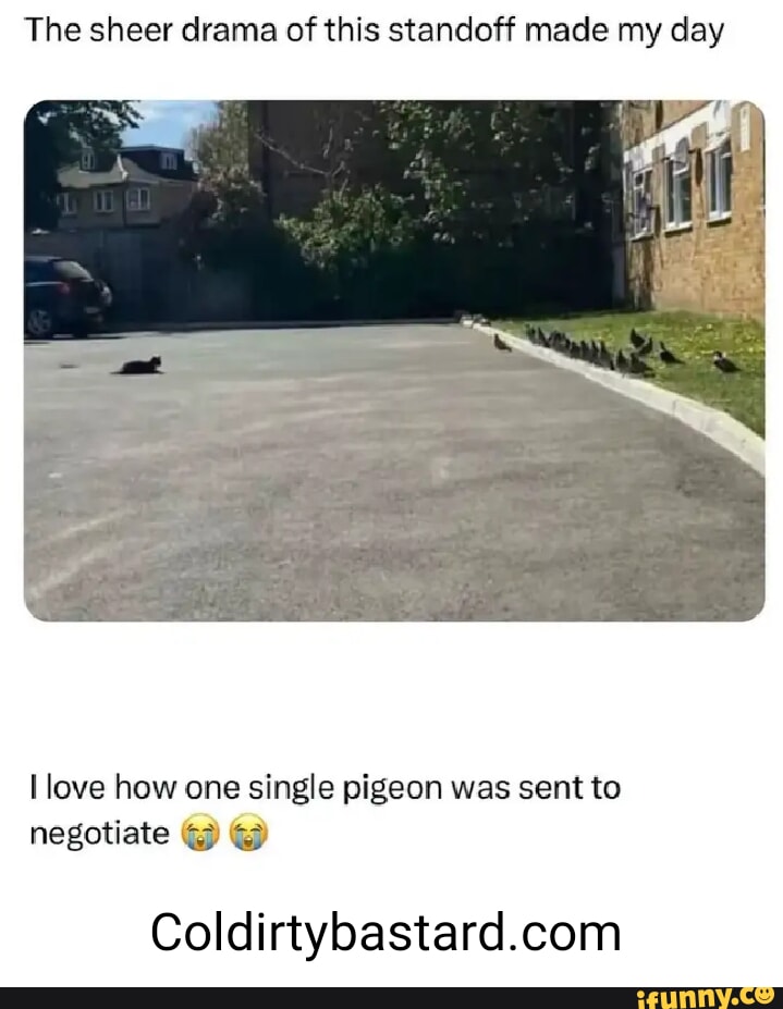 Standoff memes. Best Collection of funny Standoff pictures on iFunny