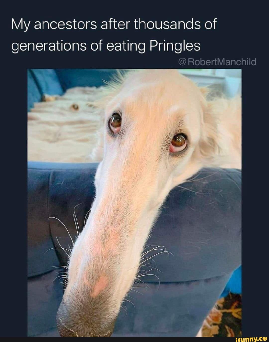 My ancestors after thousands of generations of eating Pringles ...