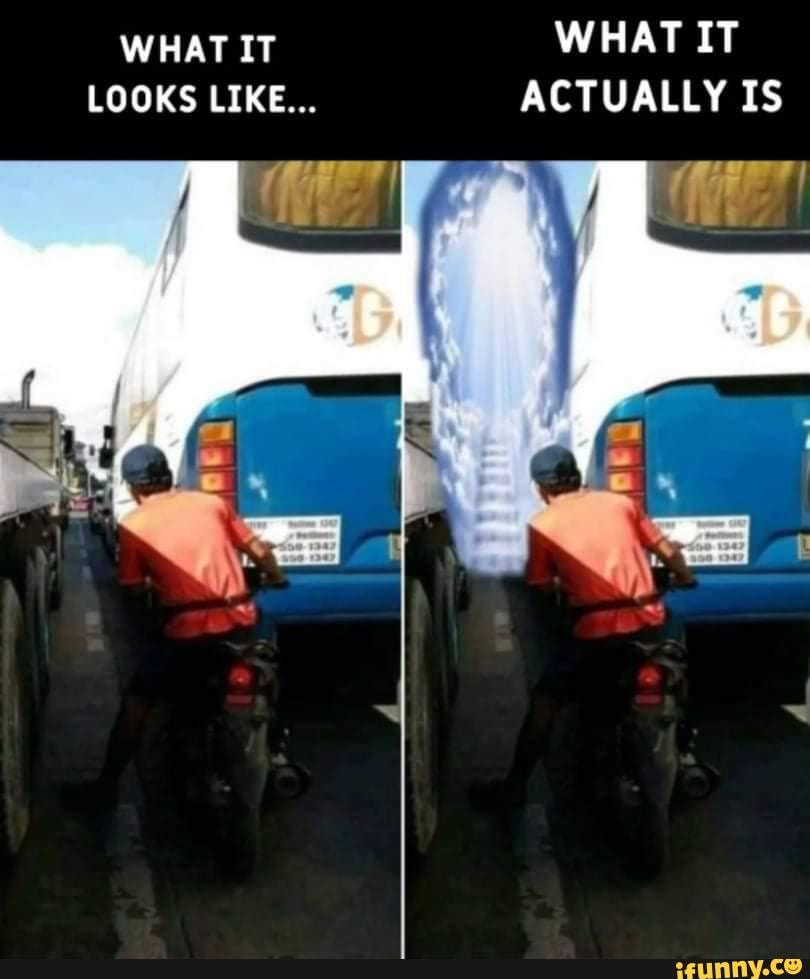WHAT IT WHAT IT LOOKS LIKE... ACTUALLY IS - iFunny