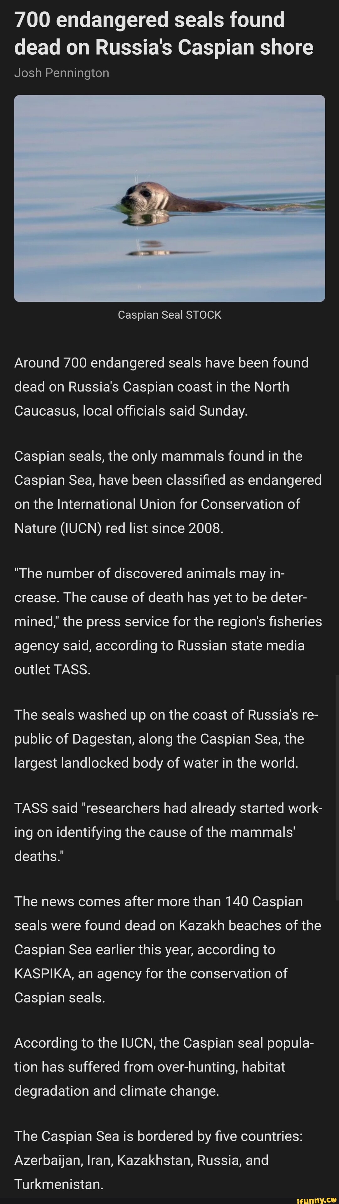 700 endangered seals found dead on Russia's Caspian shore Josh ...