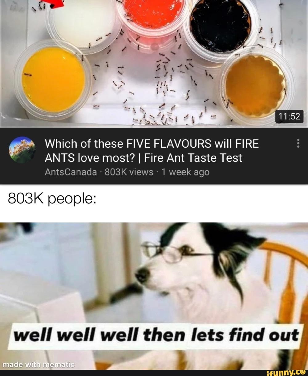 Antscanada memes. Best Collection of funny Antscanada pictures on iFunny