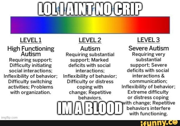 LEVEL High Functioning Autism Severe Autism Autism Requiring level-high-functioning-autism-severe-autism-autism-requiring