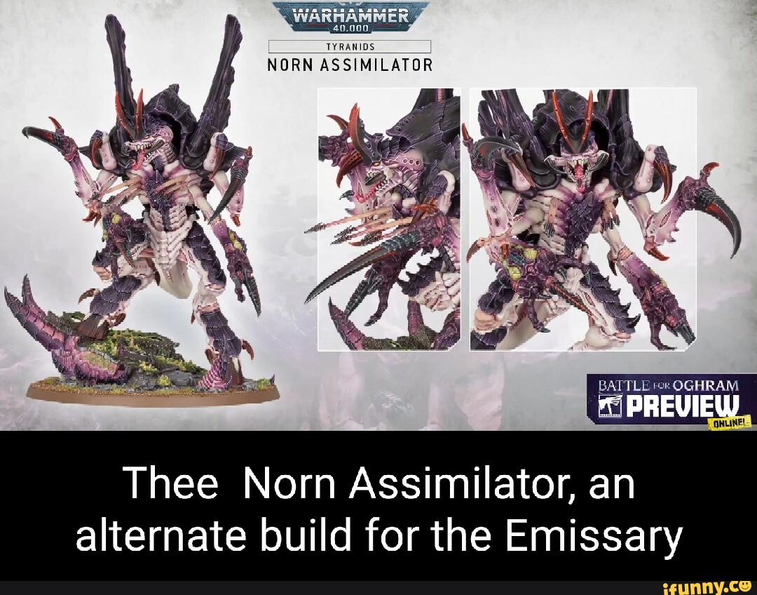 PREVIEW NORN ASSIMILATOR Thee Norn Assimilator, an alternate build for ...
