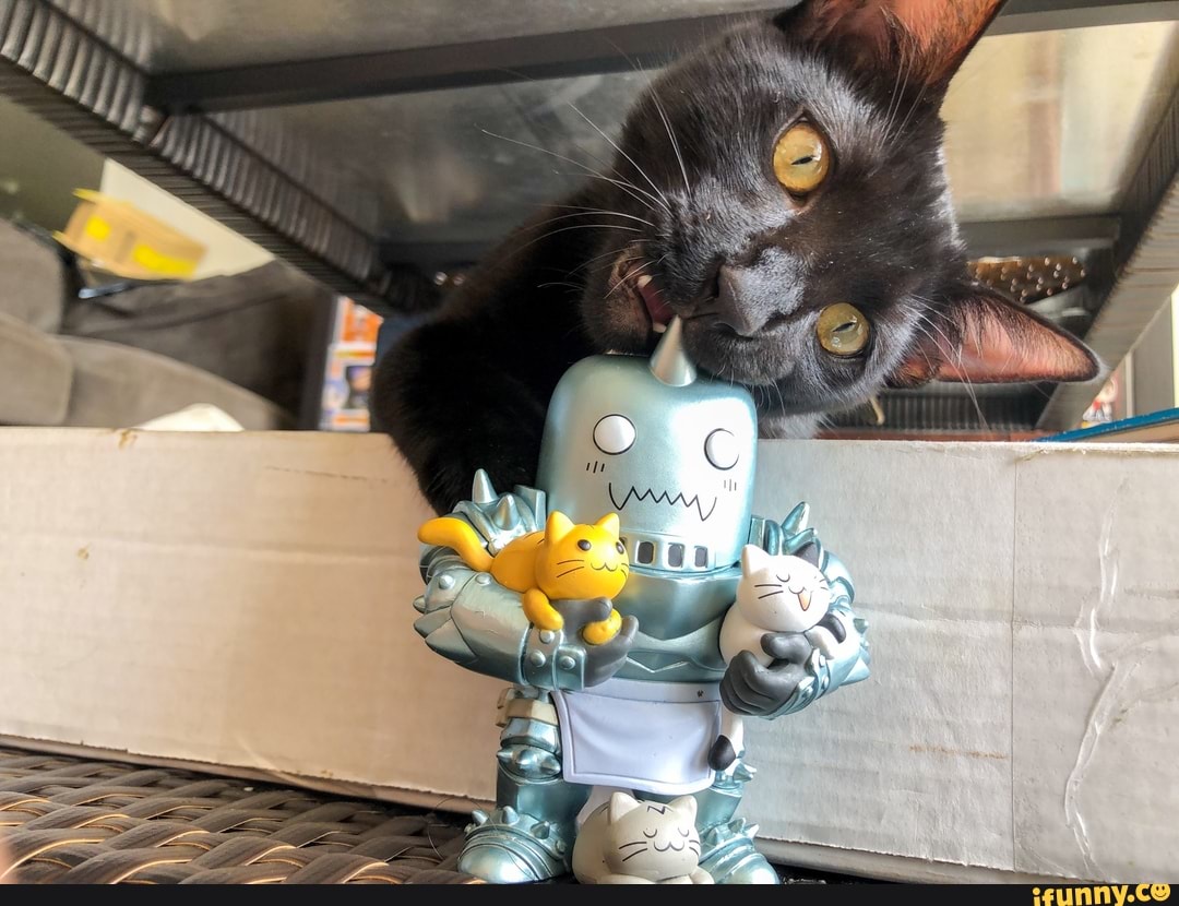 Funko_pop memes. Best Collection of funny Funko_pop pictures on iFunny