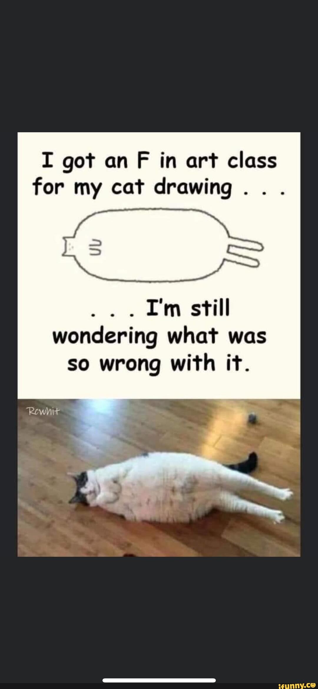 I got an F in art class for my cat drawing . Os still wondering what ...