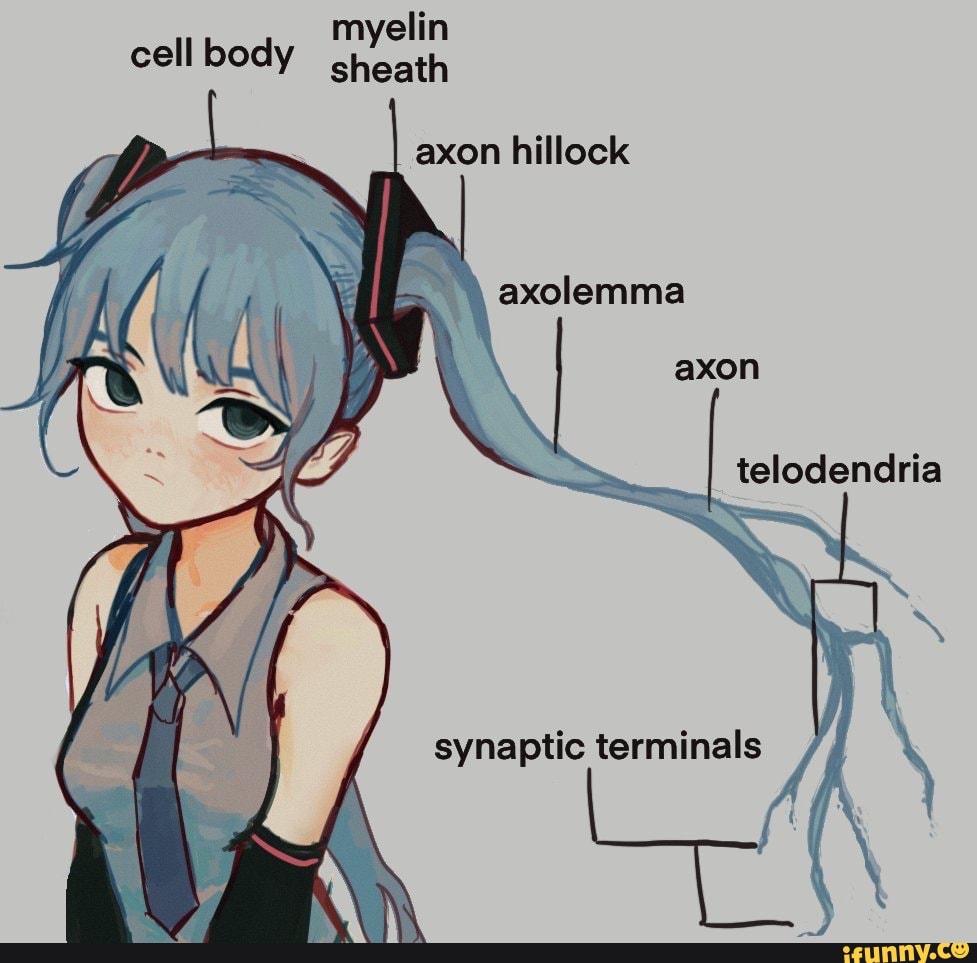 Telodendria memes. Best Collection of funny Telodendria pictures on iFunny