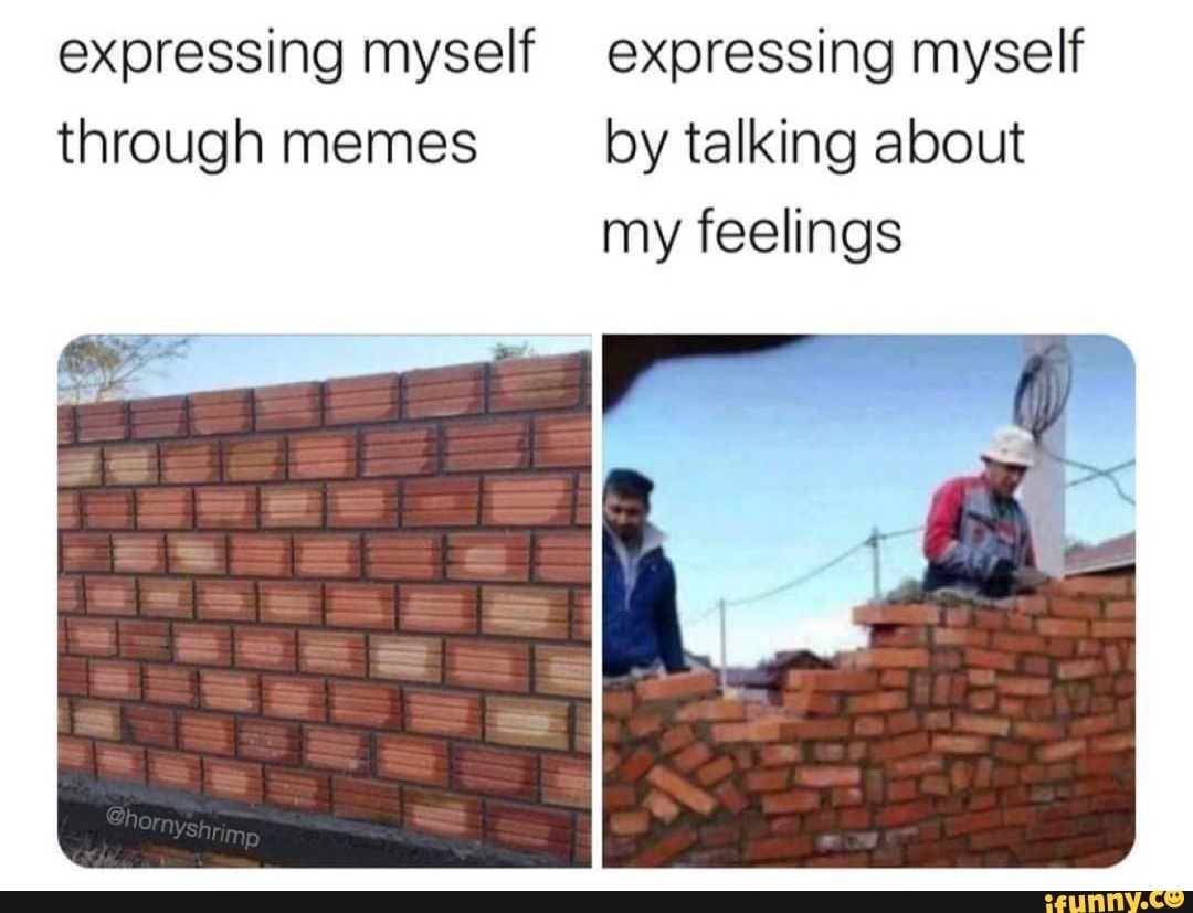 Expressing myself expressing myself through memes by talking about my ...