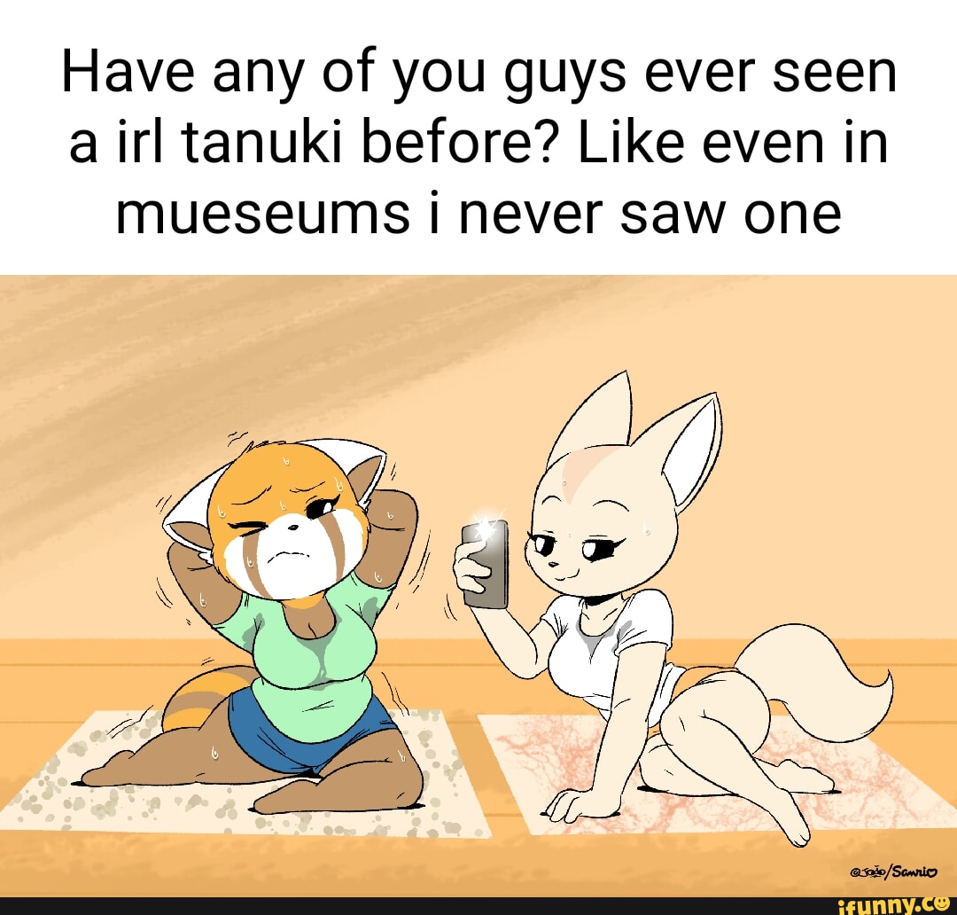 Tanuki memes. Best Collection of funny Tanuki pictures on iFunny