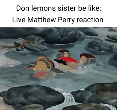 Don lemons sister be like: Live Matthew Perry reaction - iFunny