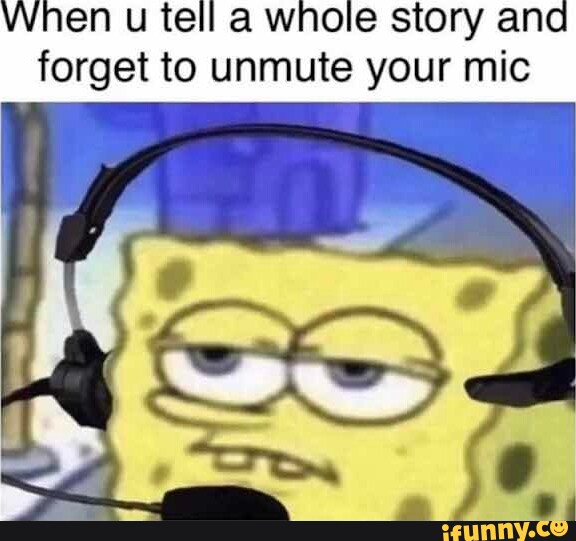 When u tell a Whole story ana forget to unmute your mic - iFunny