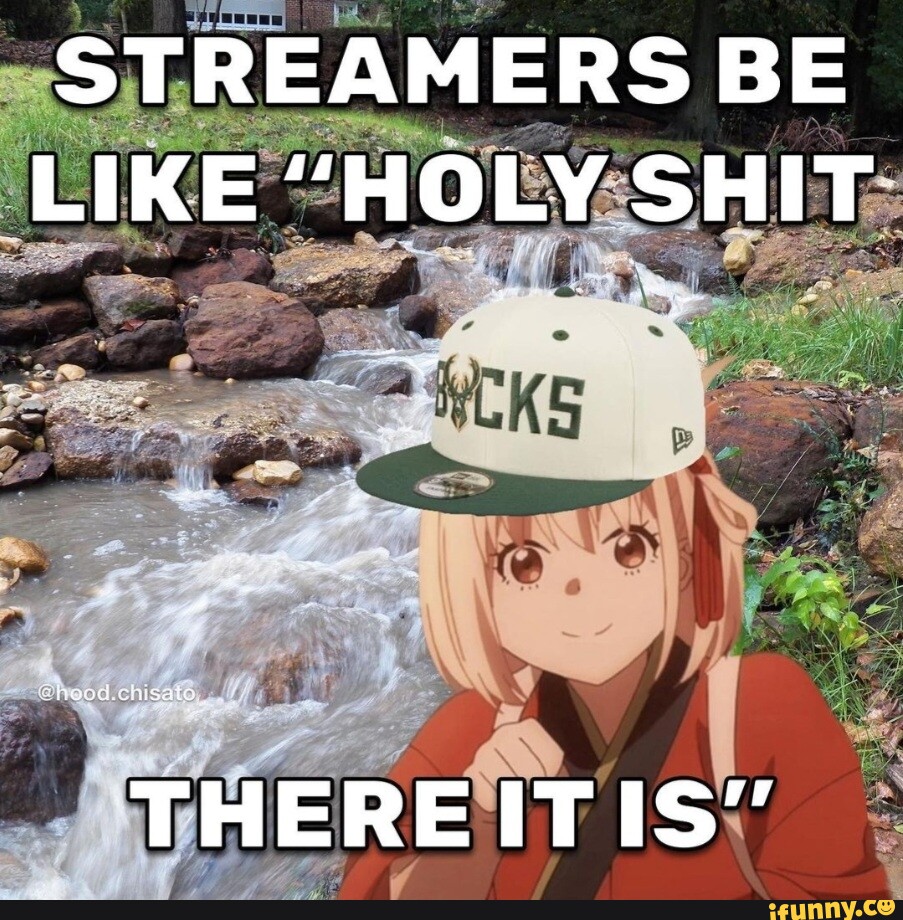 STREAMERS BE LIKE "HOLY SHIT THERE ITIS" - iFunny