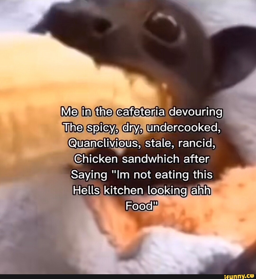 Me in the cafeteria devouring The spicy, dry, undercooked, Quanclivious ...