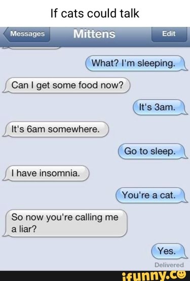 If cats could talk Mittens Messages, Can I get some food now? What? I'm ...