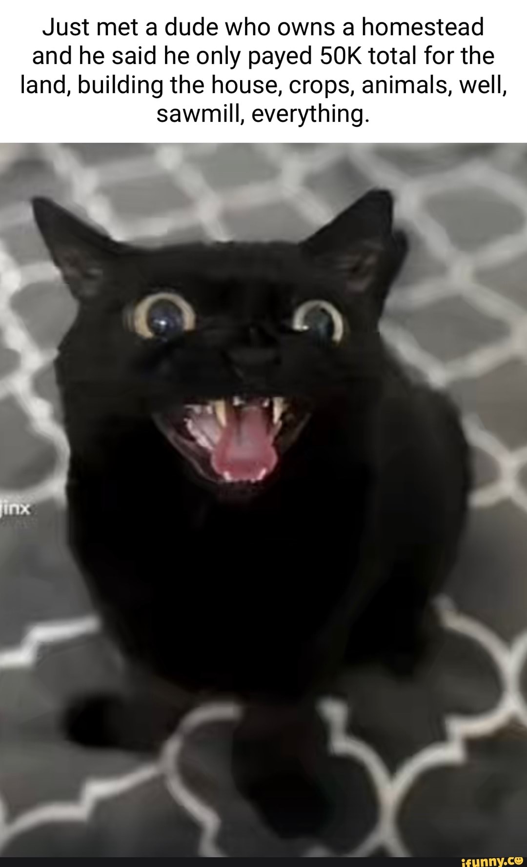 Just met a dude who owns a homestead and he said he only payed total ...