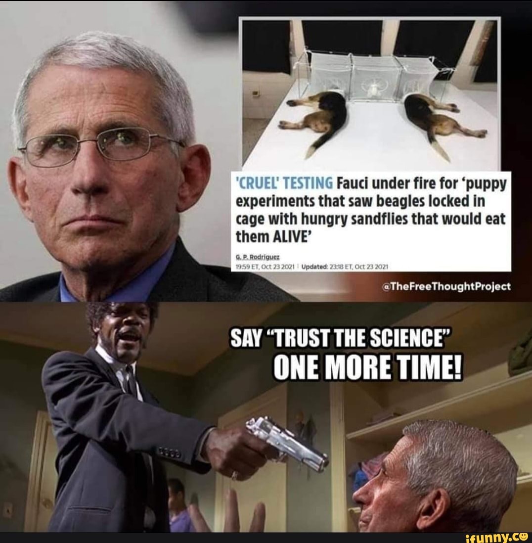 TESTING Fauci under fire for 'puppy experiments that saw beagles locked ...