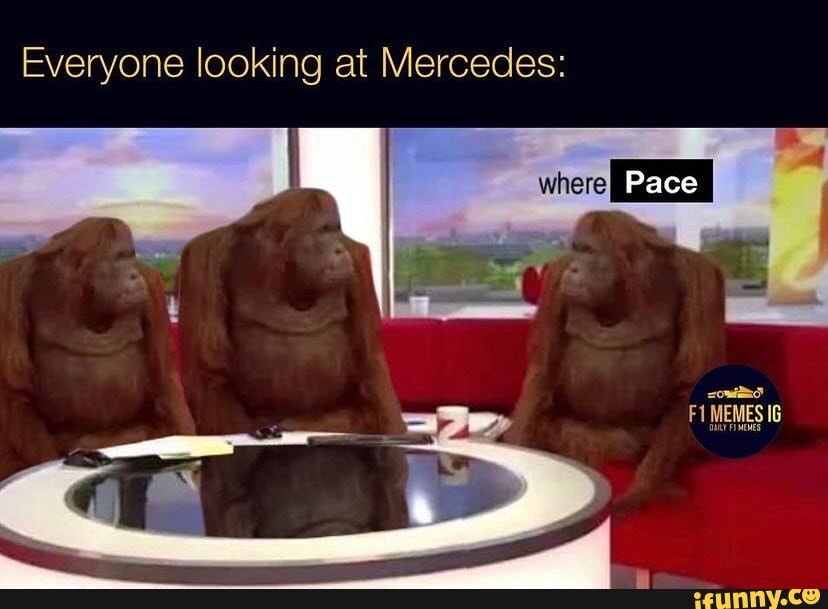 Everyone looking at Mercedes: Pace FY MEMES - iFunny