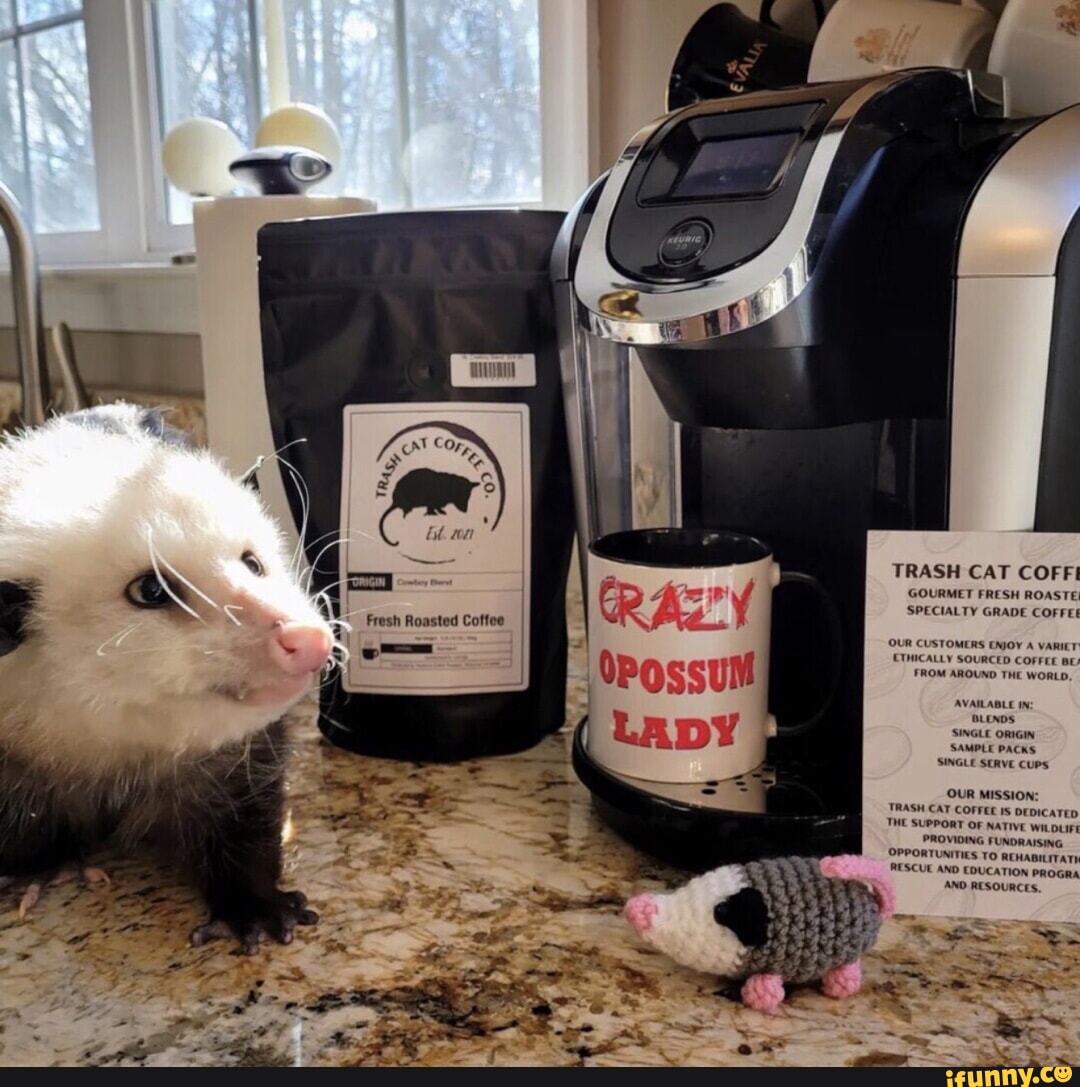 TRASH CAT COFFI GOURMET FRESH ROASTE! SPECIALTY GRADE COFFEE Cottee OUR ...