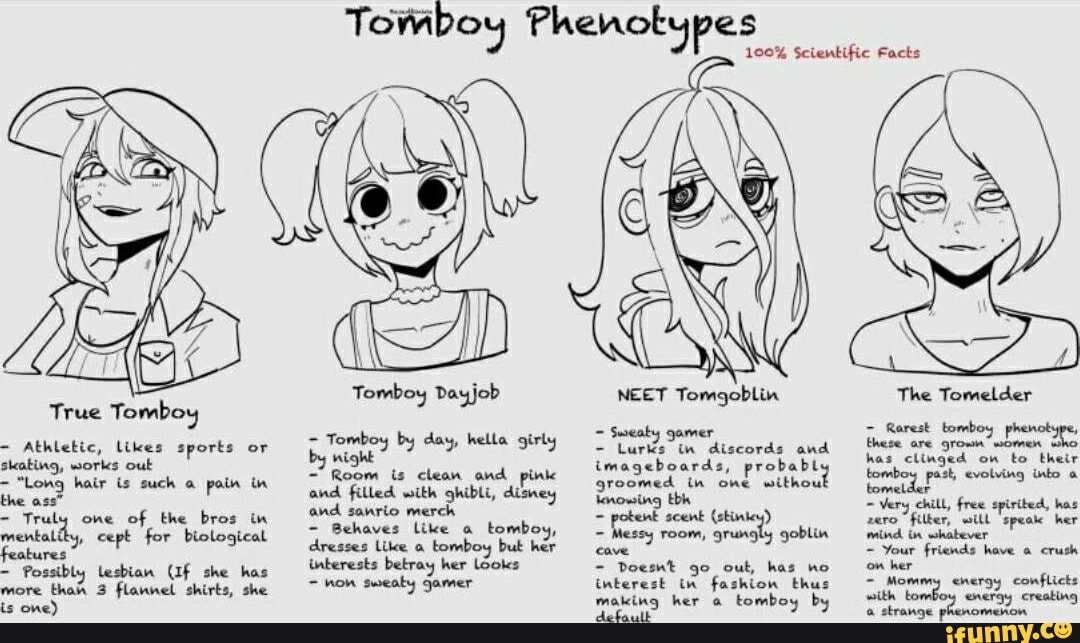 Tomboy memes. Best Collection of funny Tomboy pictures on iFunny