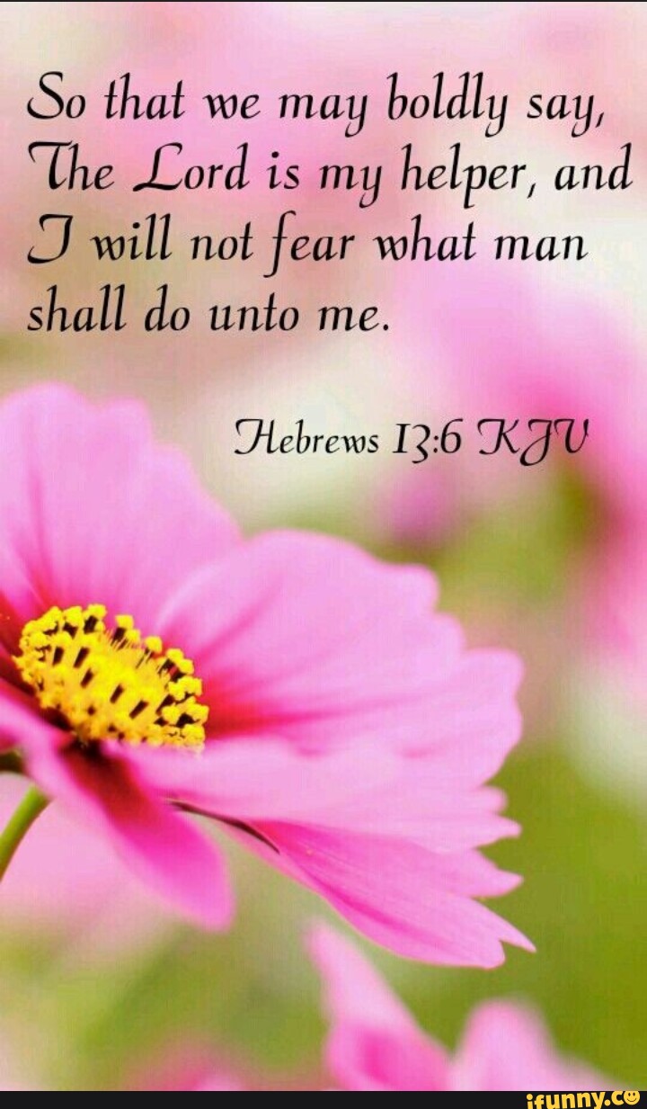 So that we may boldly say, "The Lord is my helper, and will not fear ...