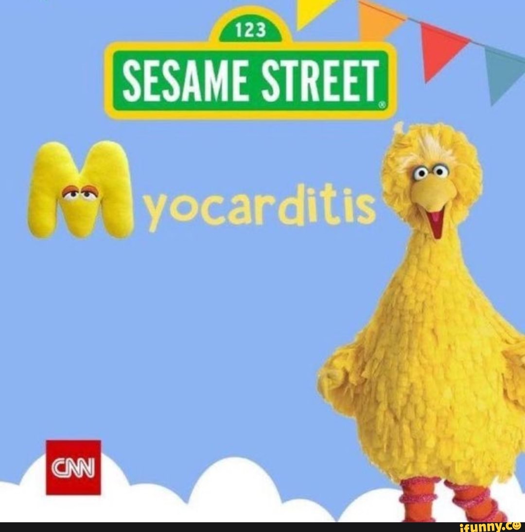 I SESAME STREET CNN - iFunny
