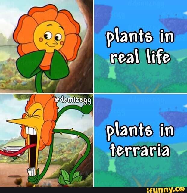 Plants in real life im plants in terraria - iFunny