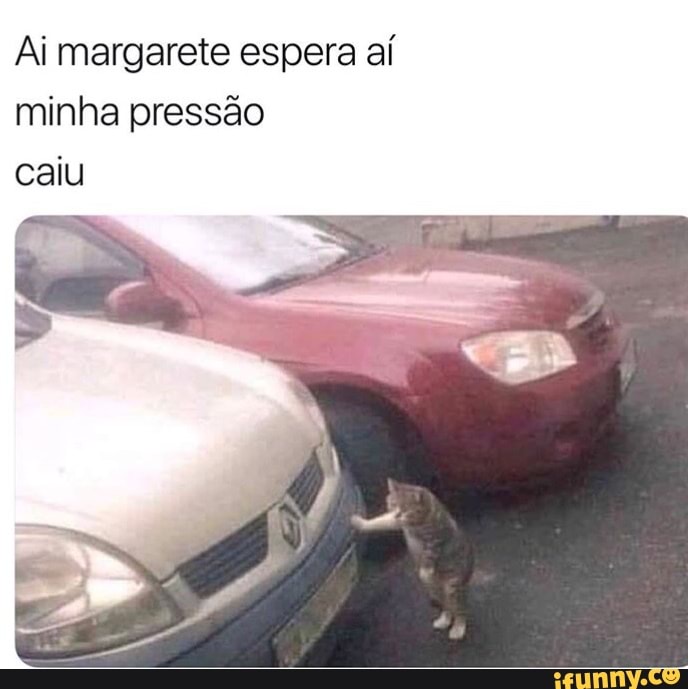 Memes de imagem DFEAW10n6 por Pato_Kllebber_2019 - )