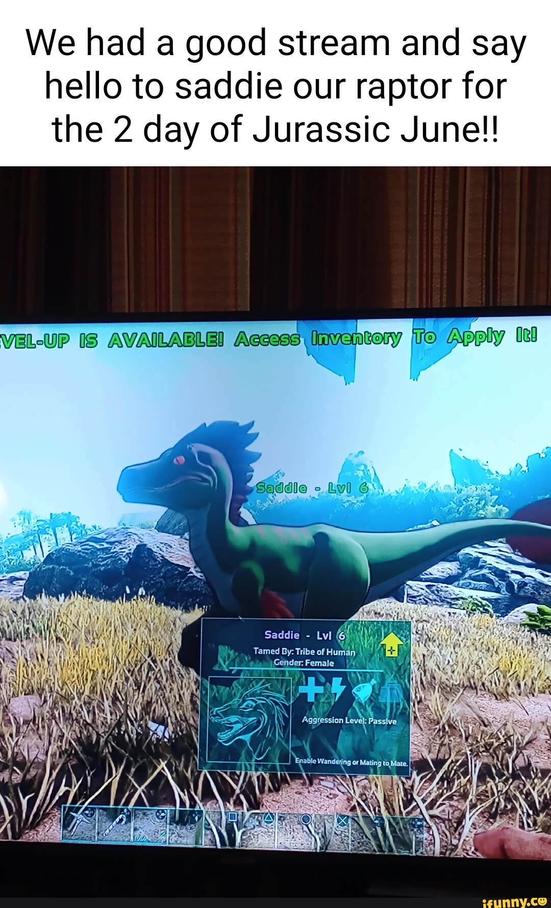 Saddie memes. Best Collection of funny Saddie pictures on iFunny