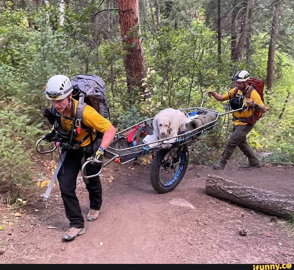 Search_and_rescue memes. Best Collection of funny Search_and_rescue ...