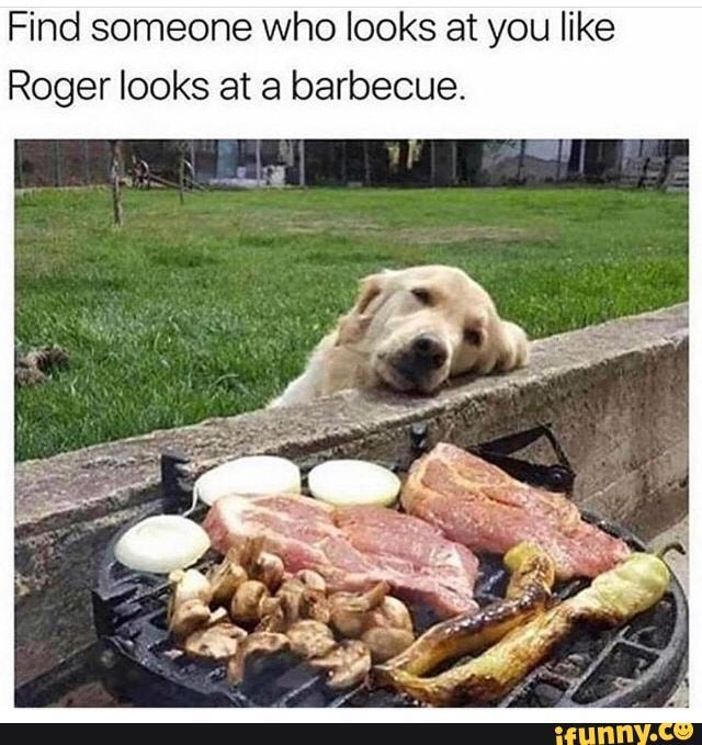 Here’s a small dump of dog memes to brighten your day! - Find someone ...