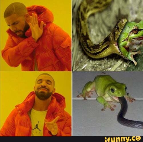 James_rolfe memes. Best Collection of funny James_rolfe pictures on iFunny