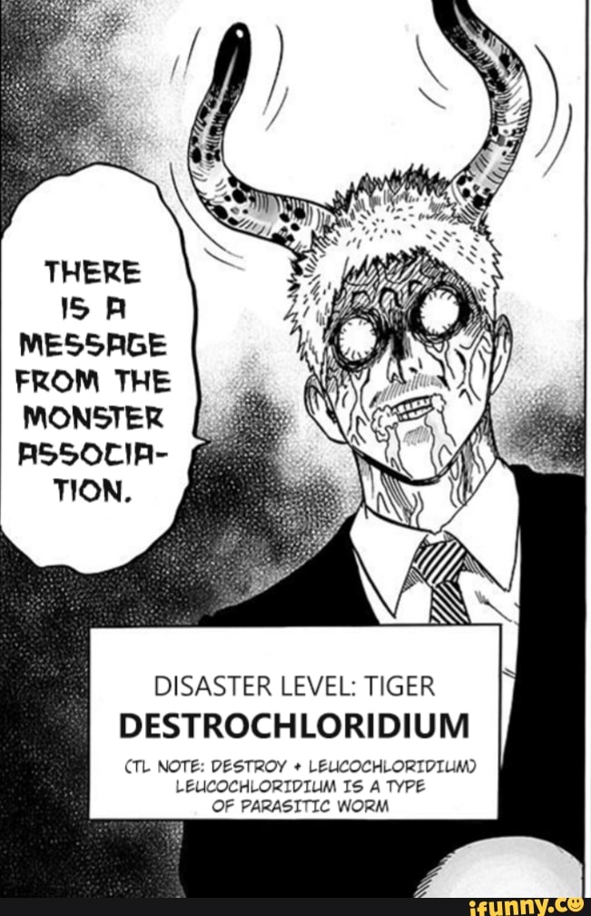 MESSFIGE FROM THE MONSTER PSSOCIR- TION. DISASTER LEVEL: TIGER ...