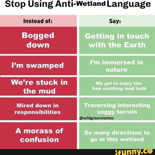 Swamped memes. Best Collection of funny Swamped pictures on iFunny