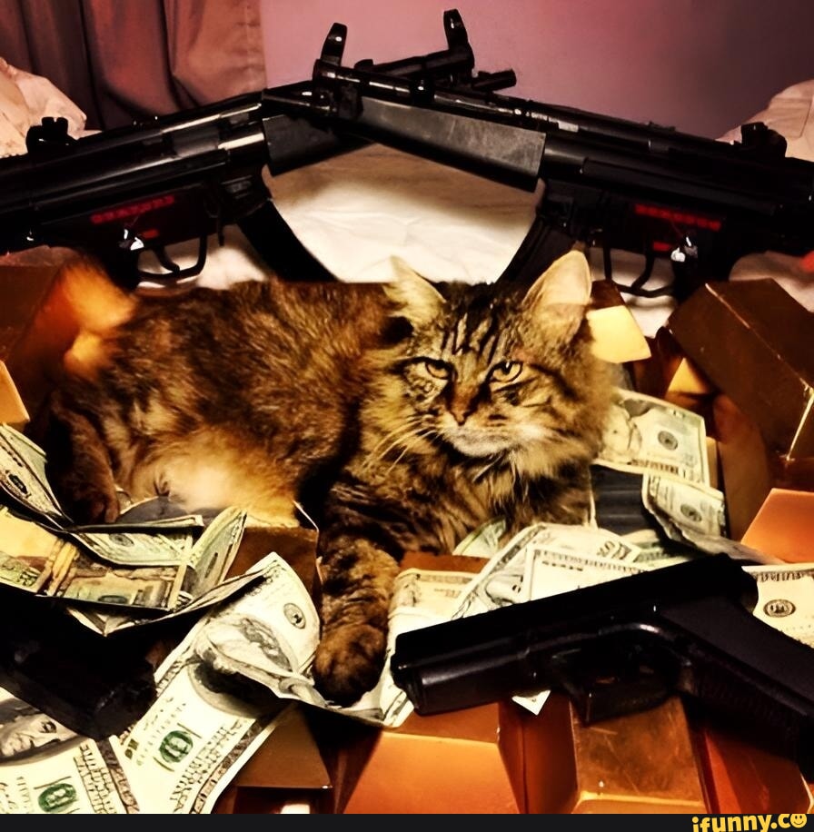 Cat With Money And Guns