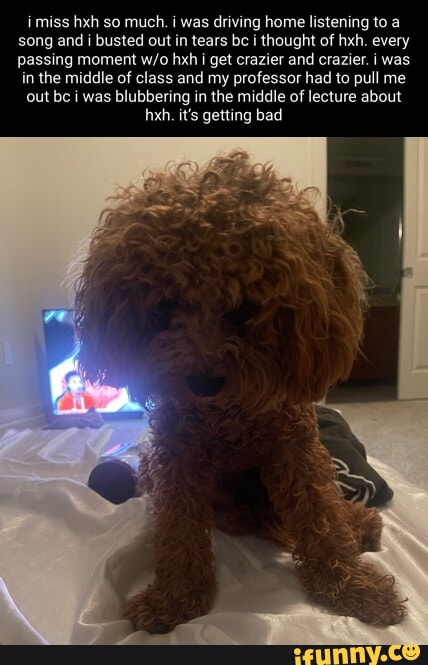 Blubbering memes. Best Collection of funny Blubbering pictures on iFunny