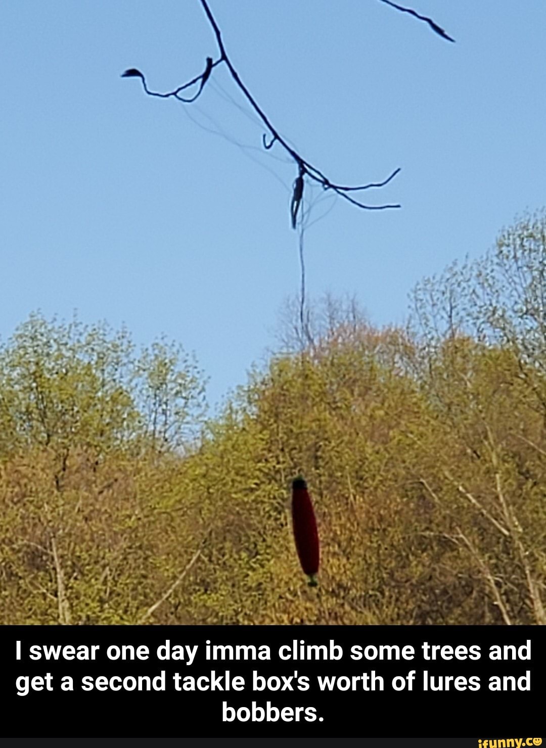 Bobbers memes. Best Collection of funny Bobbers pictures on iFunny